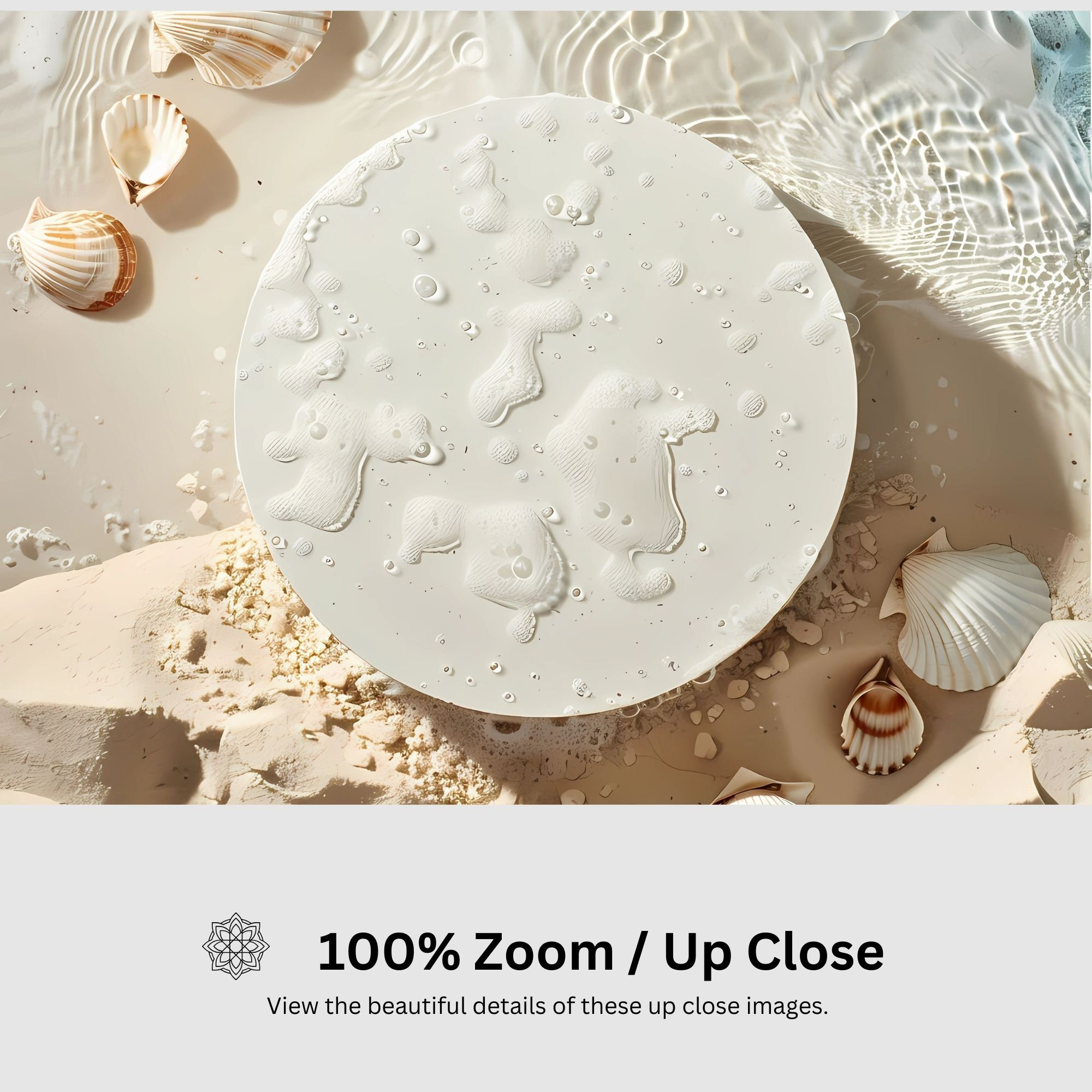 Seashell Mockup, Slabs, Beach, Product Mockup, Flatlay Images, Stock ...