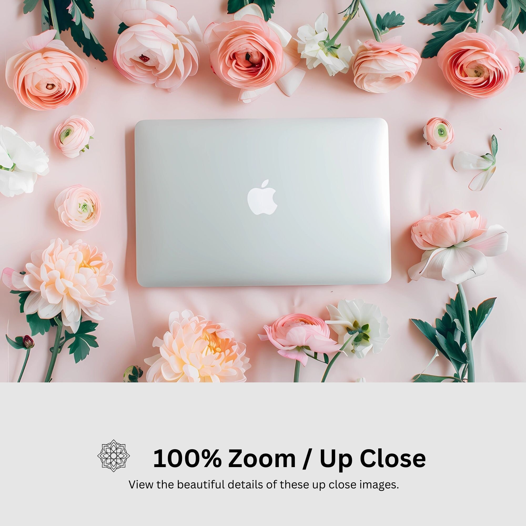 Pink Office, Office Backdrop, Laptop, Slab, Flatlay Images, Stock ...
