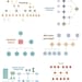 Civil Procedure Flow Charts Bundle (entire Syllabus) - Etsy
