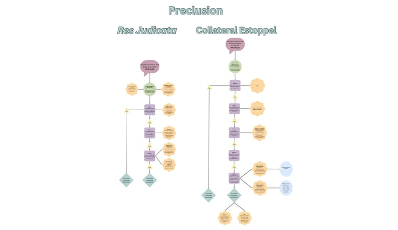 Civil Procedure Claim and Issue Preclusion Flowcharts - Etsy