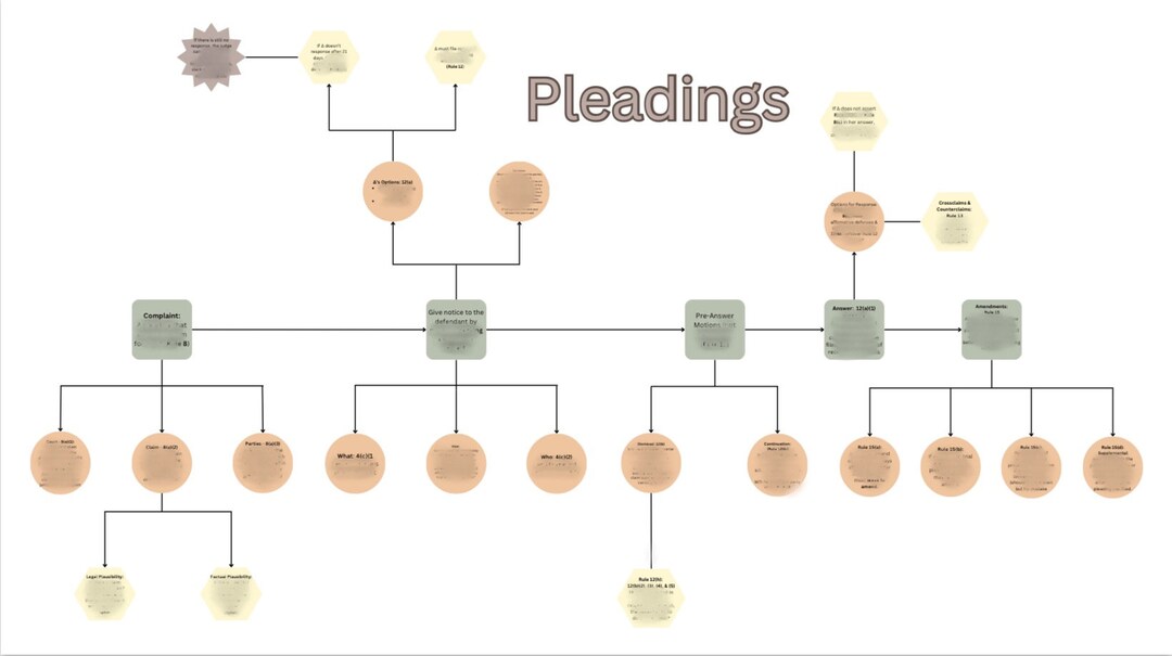 Civil Procedure Pleadings Flow Chart - Etsy