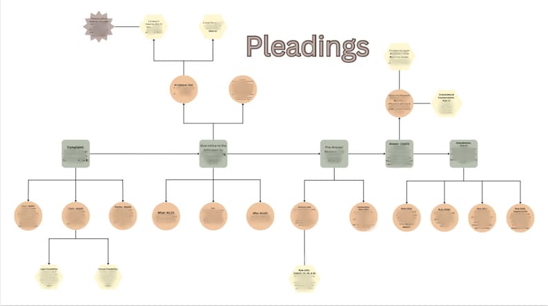 Civil Procedure Pleadings Flow Chart - Etsy