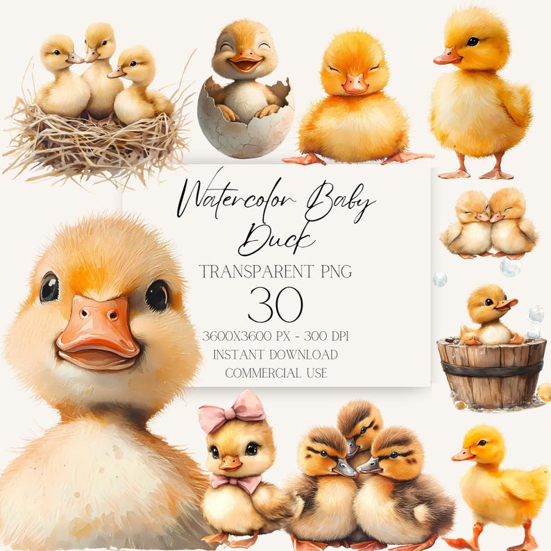 Watercolor Baby Duck Clipart Bundle: Nursery Animal Pngs (commercial ...