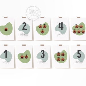 Educational Set of 20 Flashcards for Matching Game: Ladybug Counting ...