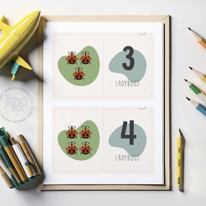 Educational Set of 20 Flashcards for Matching Game: Ladybug Counting ...