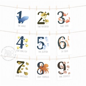 Flashcards for Learning Numbers to 10 With Ocean Animals: Under the Sea ...