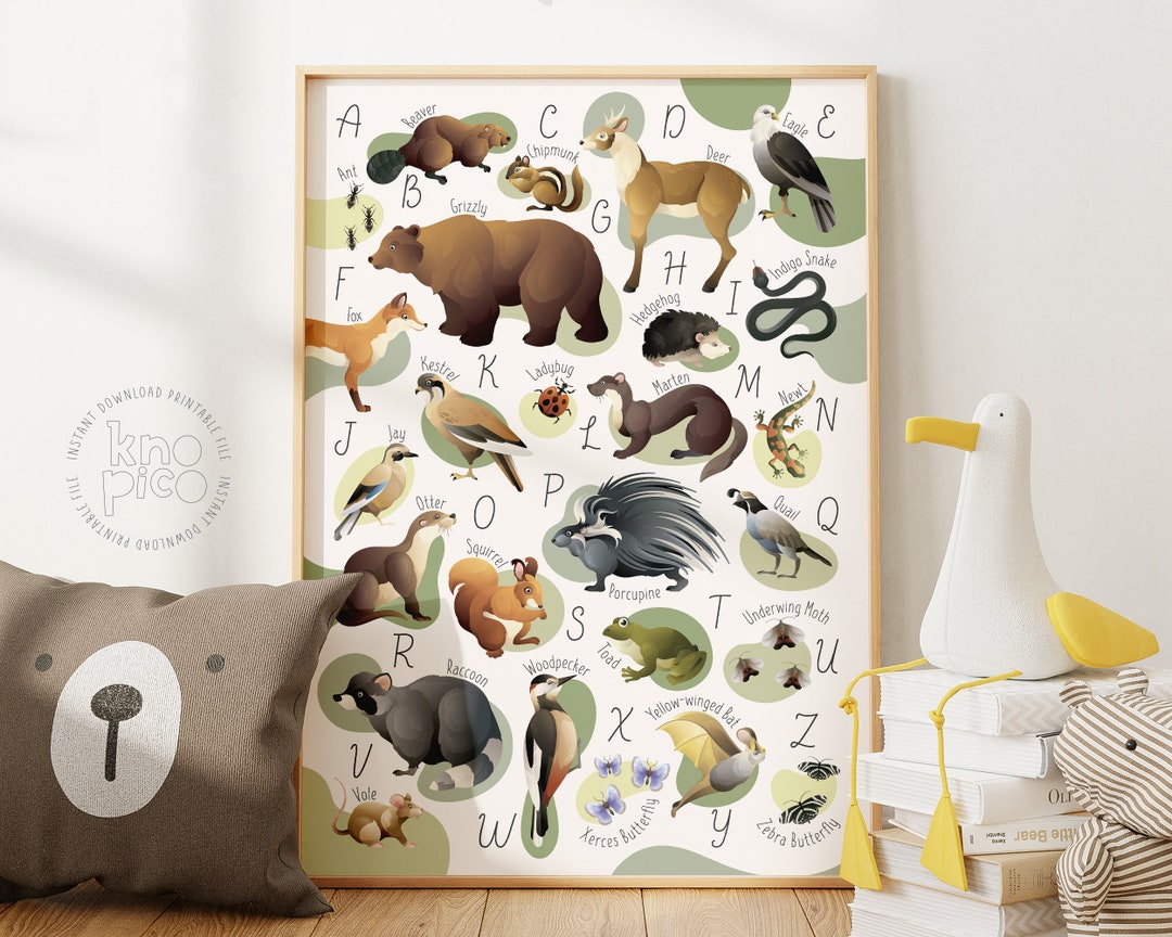 English Alphabet Poster With Woodland Creatures | Forest Animal ABC ...