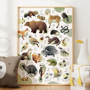 English Alphabet Poster With Woodland Creatures | Forest Animal ABC ...