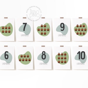 Educational Set of 20 Flashcards for Matching Game: Ladybug Counting ...