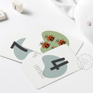 Educational Set of 20 Flashcards for Matching Game: Ladybug Counting ...