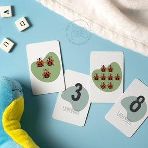 Educational Set of 20 Flashcards for Matching Game: Ladybug Counting ...