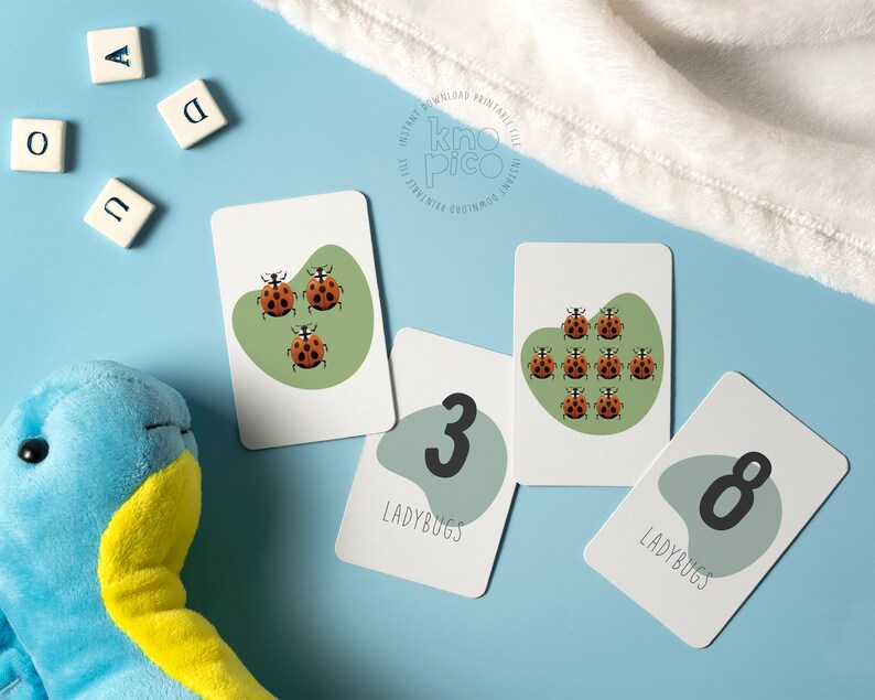 Educational Set of 20 Flashcards for Matching Game: Ladybug Counting ...