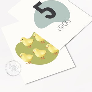 Chick-a-doodle-do: Matching Game for Little Ones – Toddler Flashcards ...