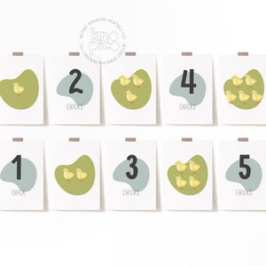 Chick-a-doodle-do: Matching Game for Little Ones – Toddler Flashcards ...