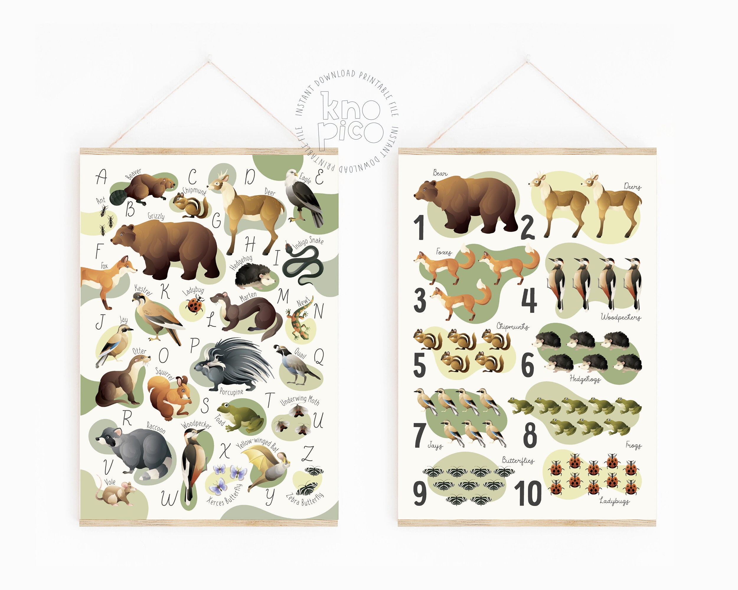 Learn the Alphabet Letters and Numbers to 10 With This Woodland Poster ...