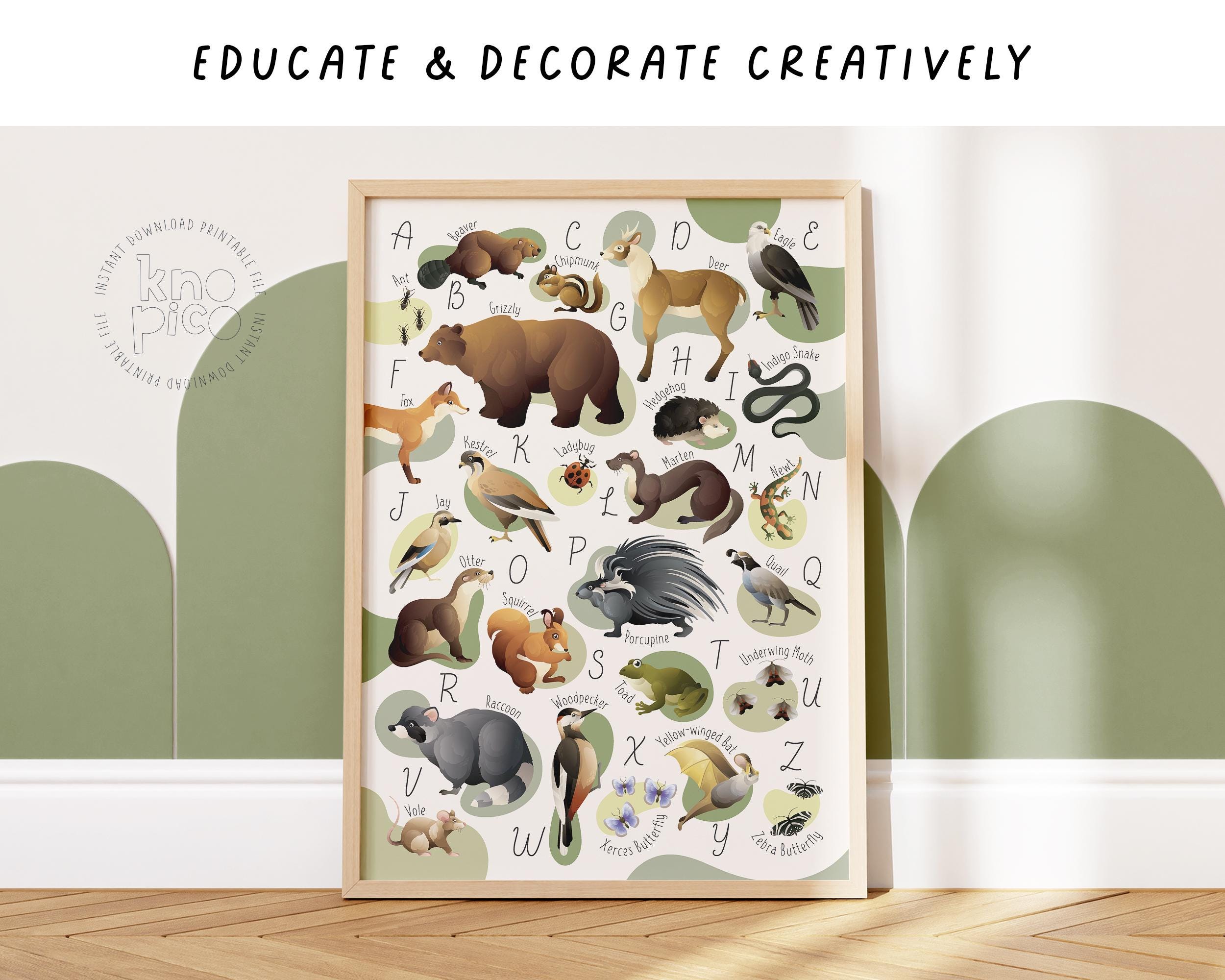 English Alphabet Poster With Woodland Creatures | Forest Animal ABC ...
