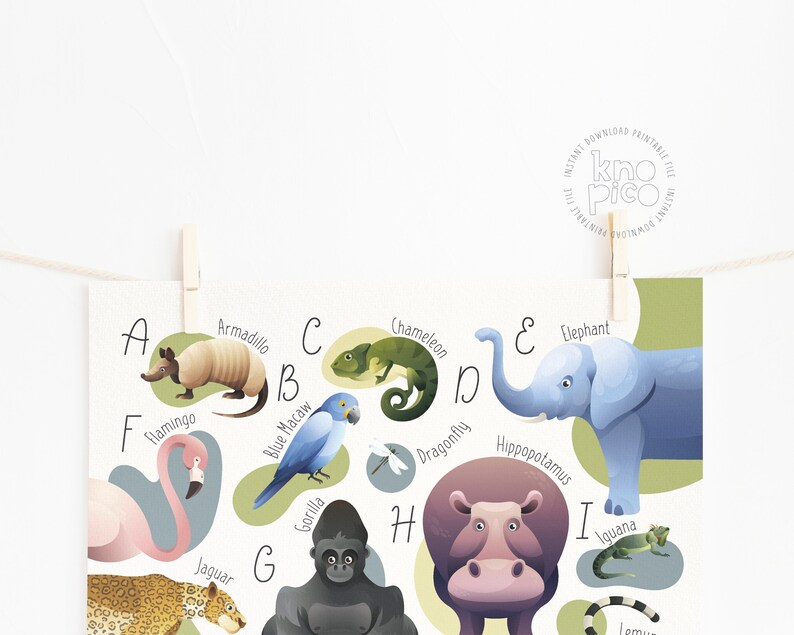 Learn the Alphabet Letters and Join a Wild Jungle Adventure With This ...