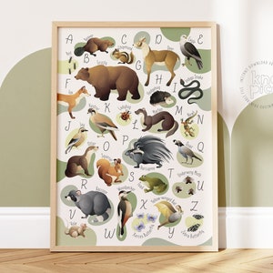 English Alphabet Poster With Woodland Creatures | Forest Animal ABC ...