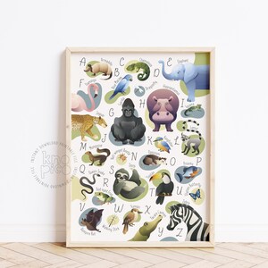 Learn the Alphabet Letters and Join a Wild Jungle Adventure With This ...