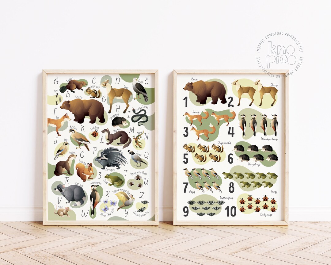 Learn the Alphabet Letters and Numbers to 10 With This Woodland Poster ...