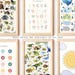 Spanish ABC & Numbers Posters for Spanish Learning Bilingual ...