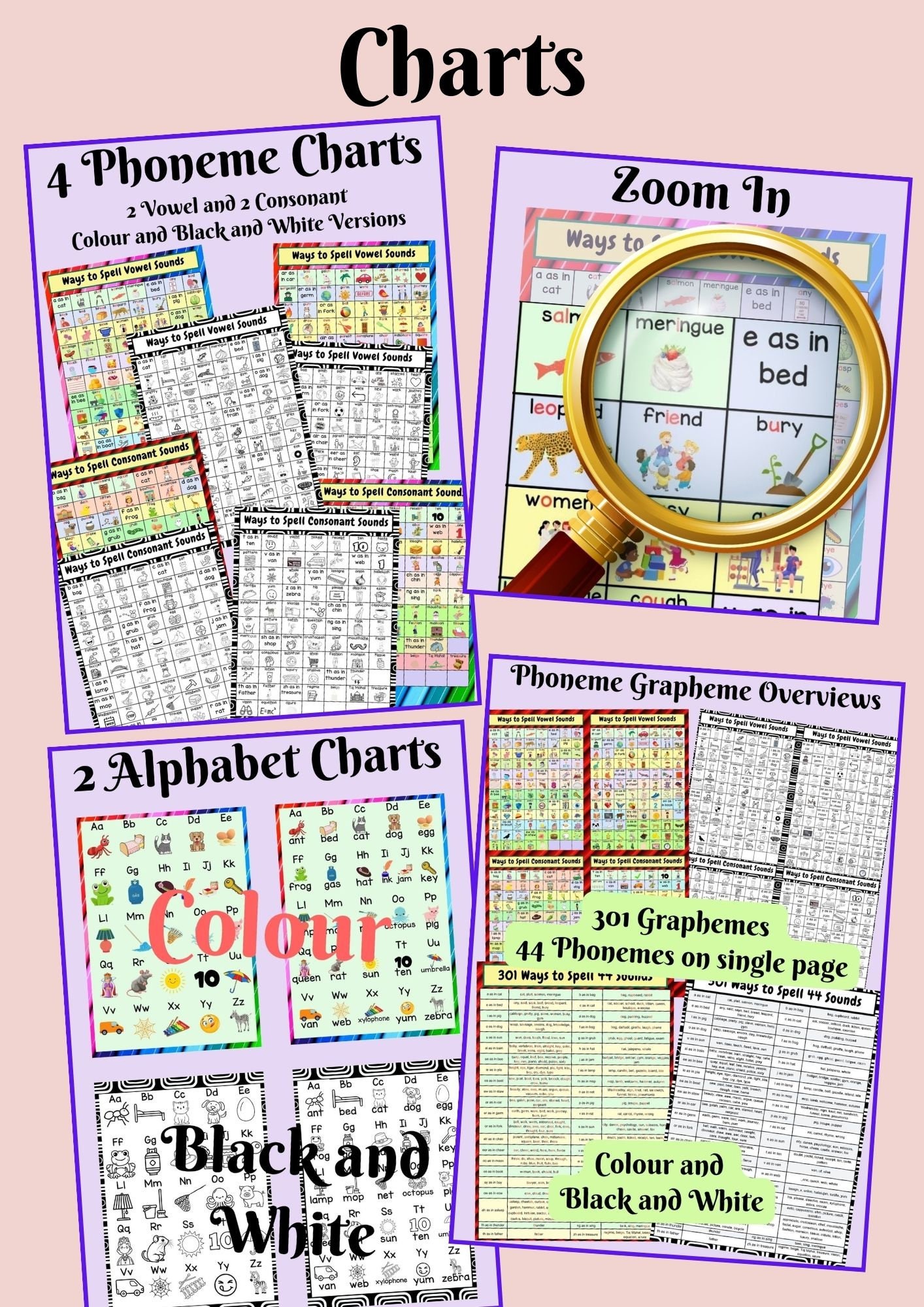 Editable Phonics Charts 44 Phonemes 301 Graphemes Supports Science of ...