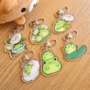 Frog Mystery Gacha Charm Blind Box | Acrylic Keychain - Etsy
