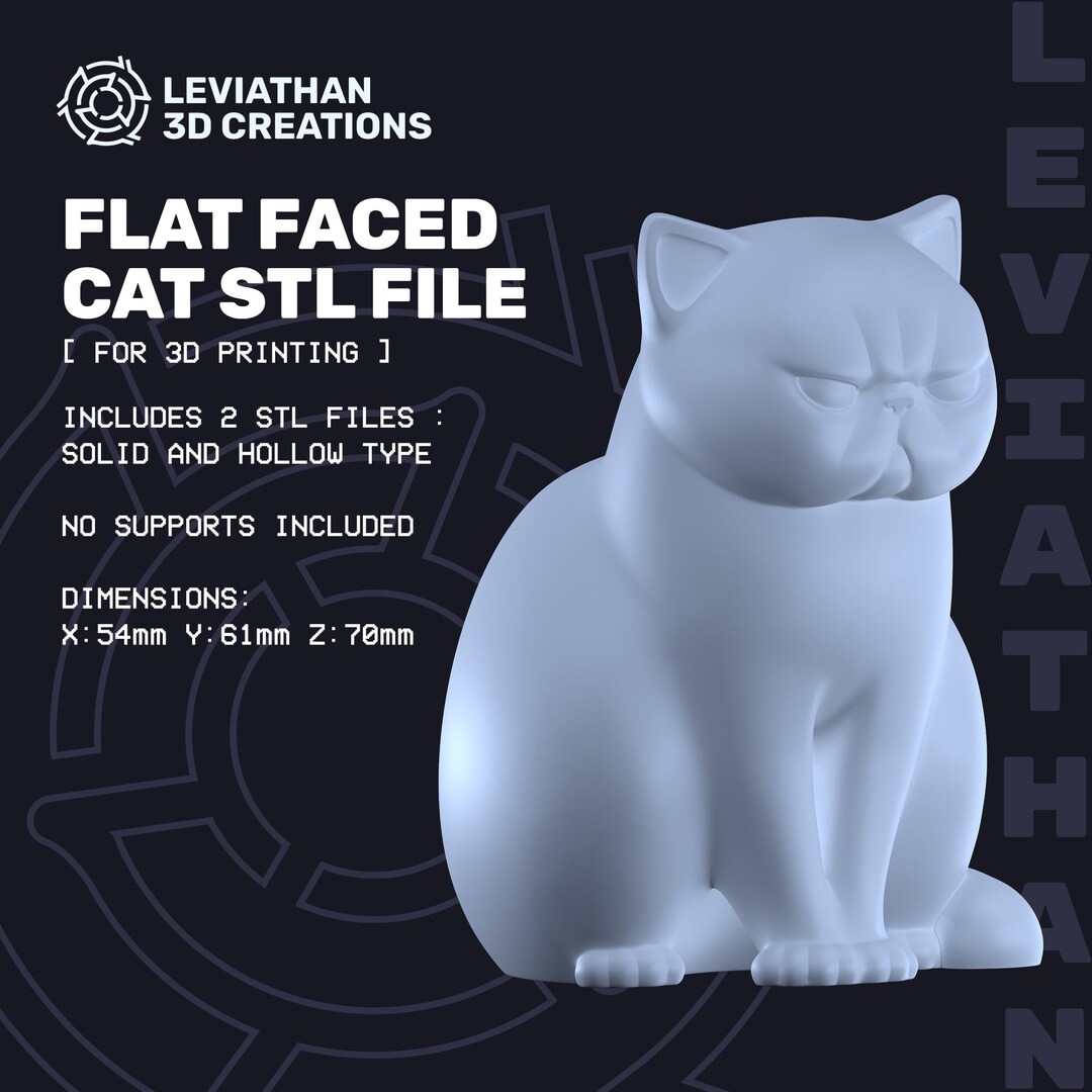 Flat Faced Cat STL File for 3D Printing - Etsy