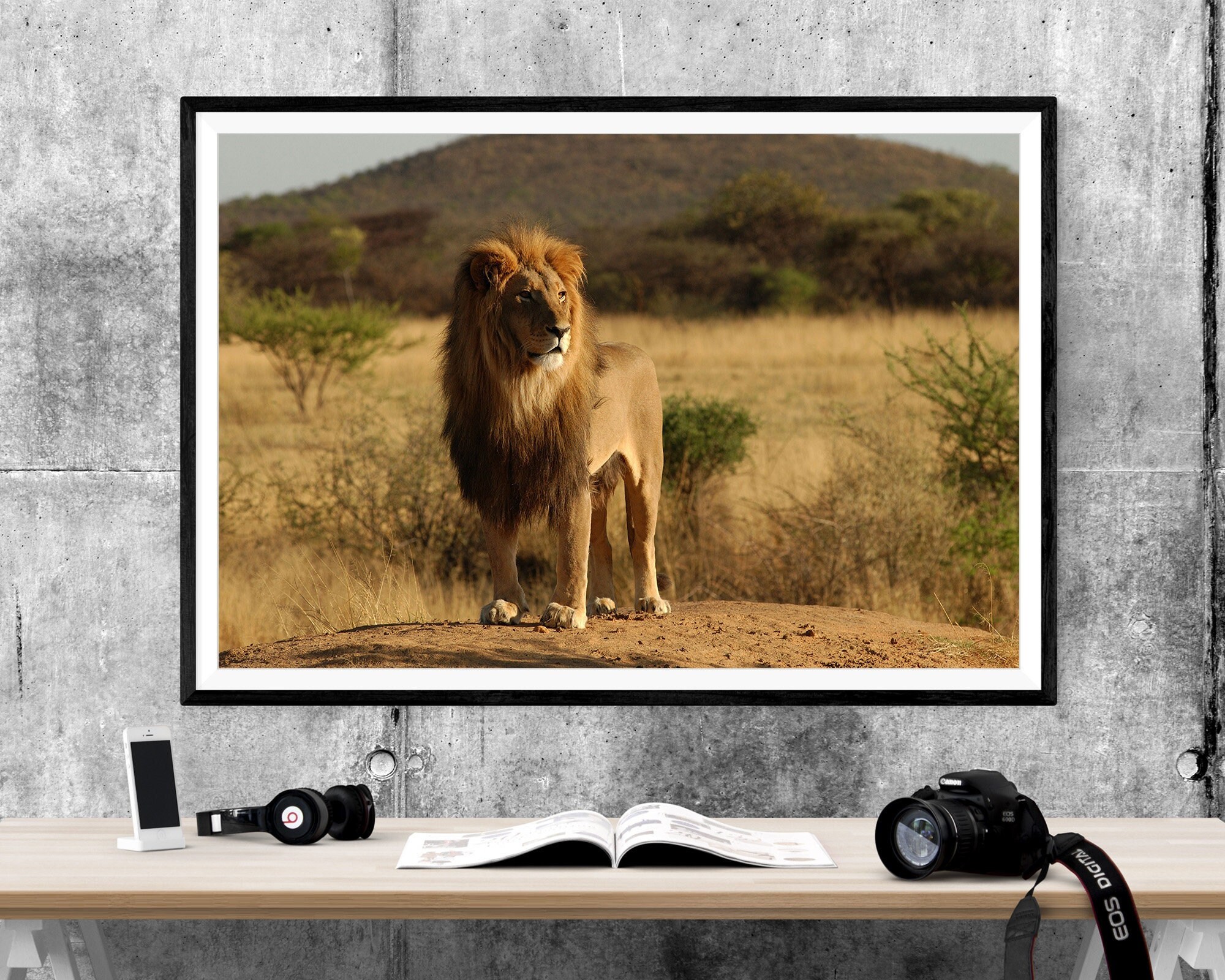 Lion Wildlife Animal Wall Art Photo Print - Etsy