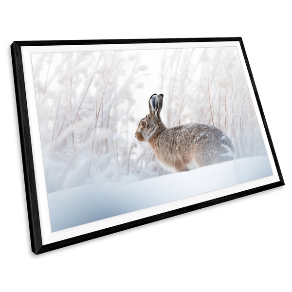 Hare Picture - Etsy UK