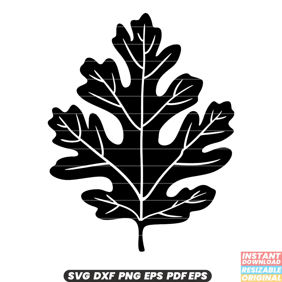 Oak Leaf SVG Botanical Illustration Oak Leaf Clipart Tree Graphic ...
