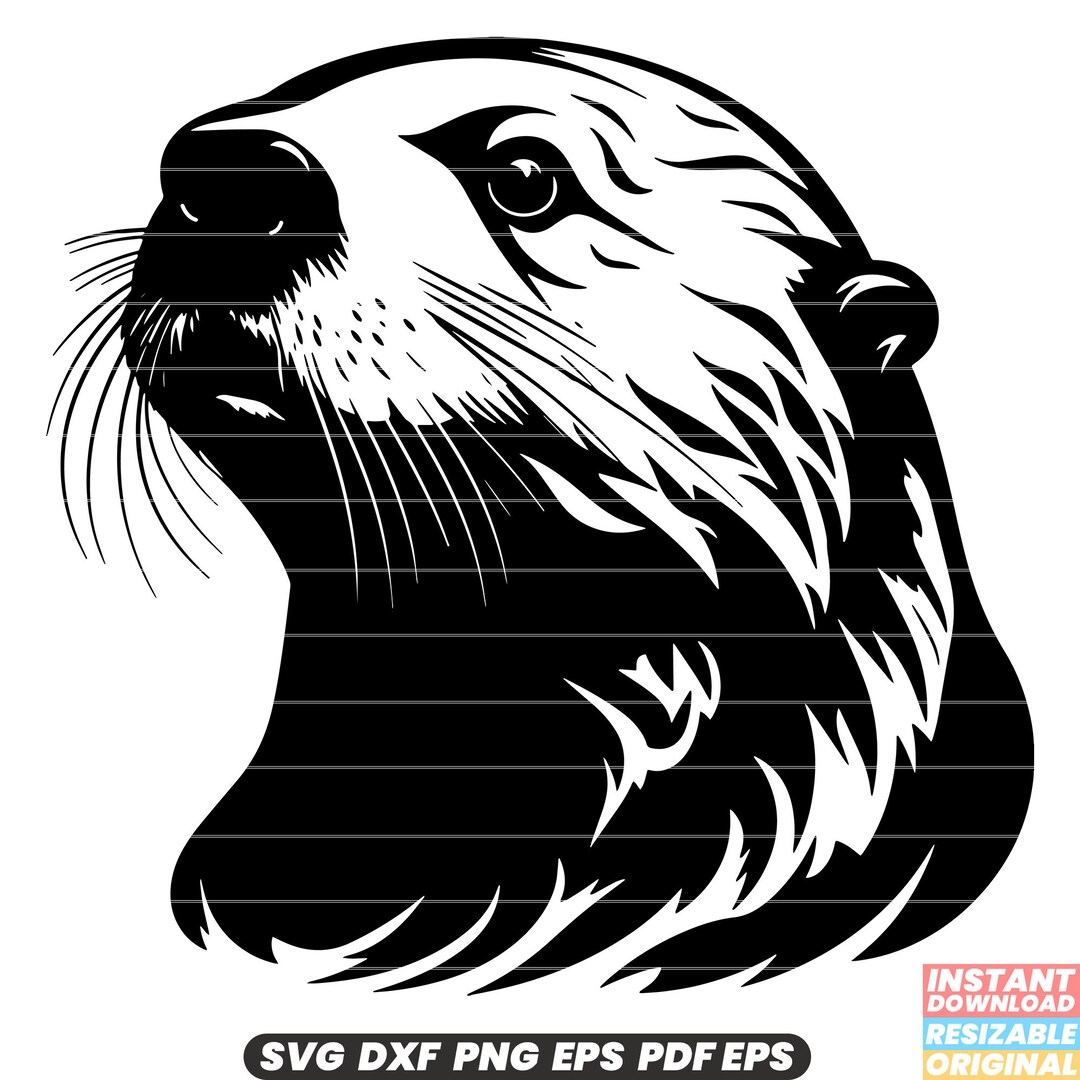 Otter Aquatic Mammal Wildlife Riverbank Fur Cute Playful Nature ...