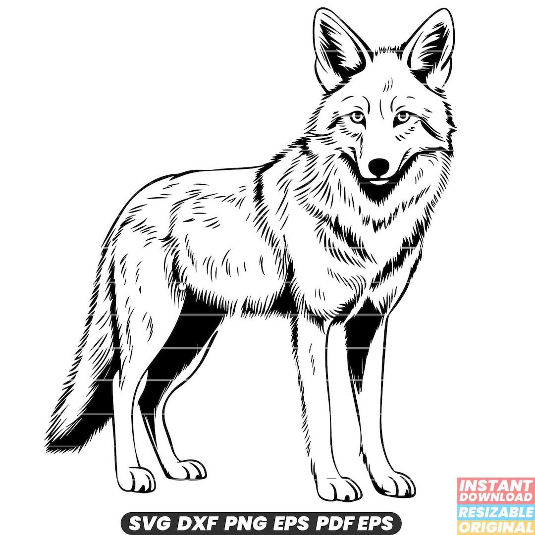 Coyote SVG Wildlife Animal Nature Desert Canine Howling Wild Predator ...