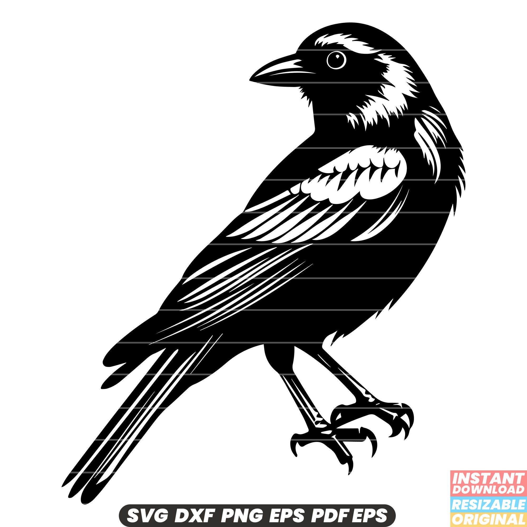 Crow SVG, Crow DXF, Crow PNG, Crow Clipart, Crow Cut File Instant ...