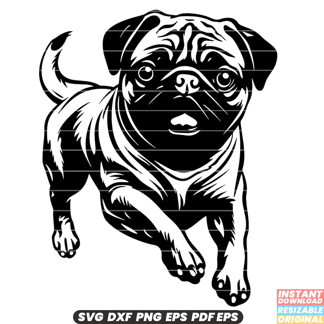 Pug Dog Breed Canine Pet Animal Cute Adorable Fawn Wrinkles Snout ...