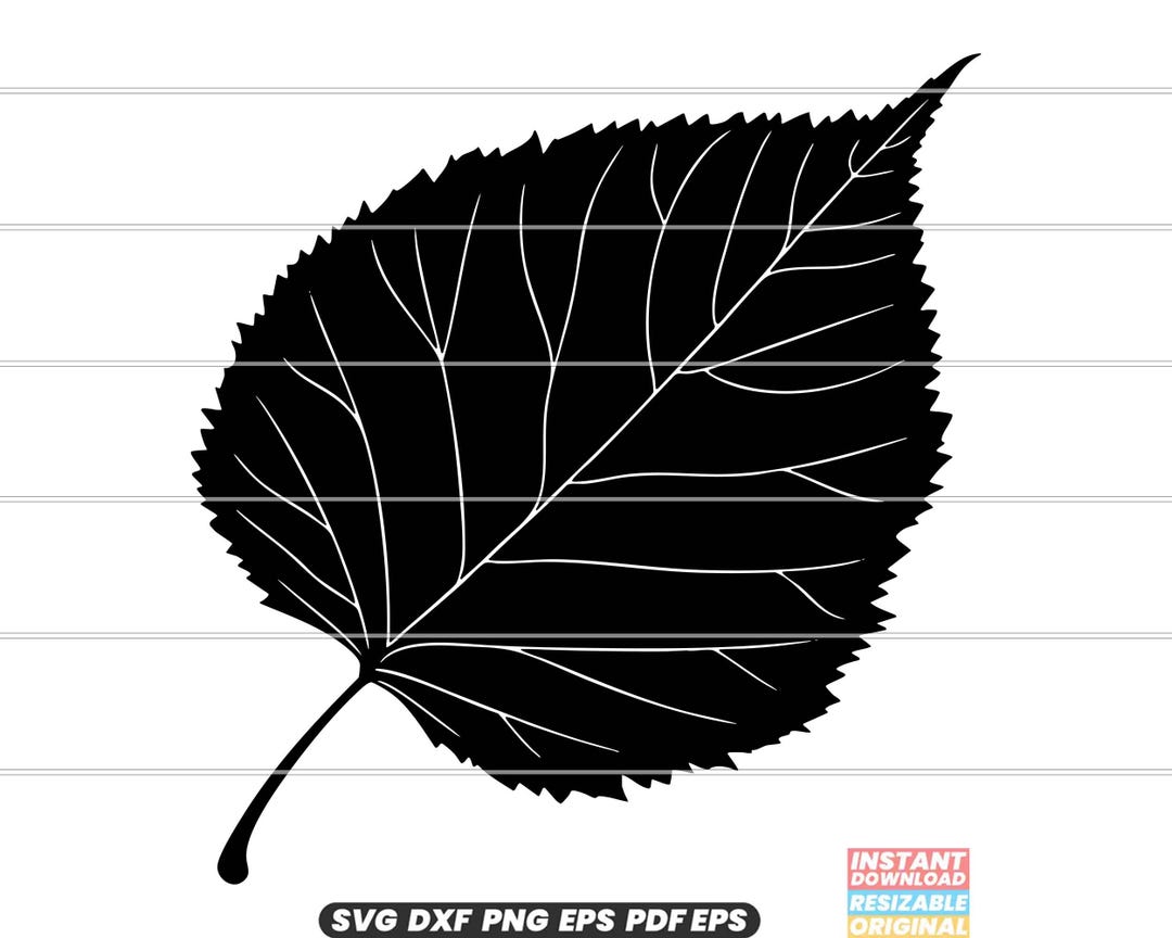 Birch Leaf Svg, Birch Leaf Dxf, Birch Leaf Png, Birch Leaf Cut File ...