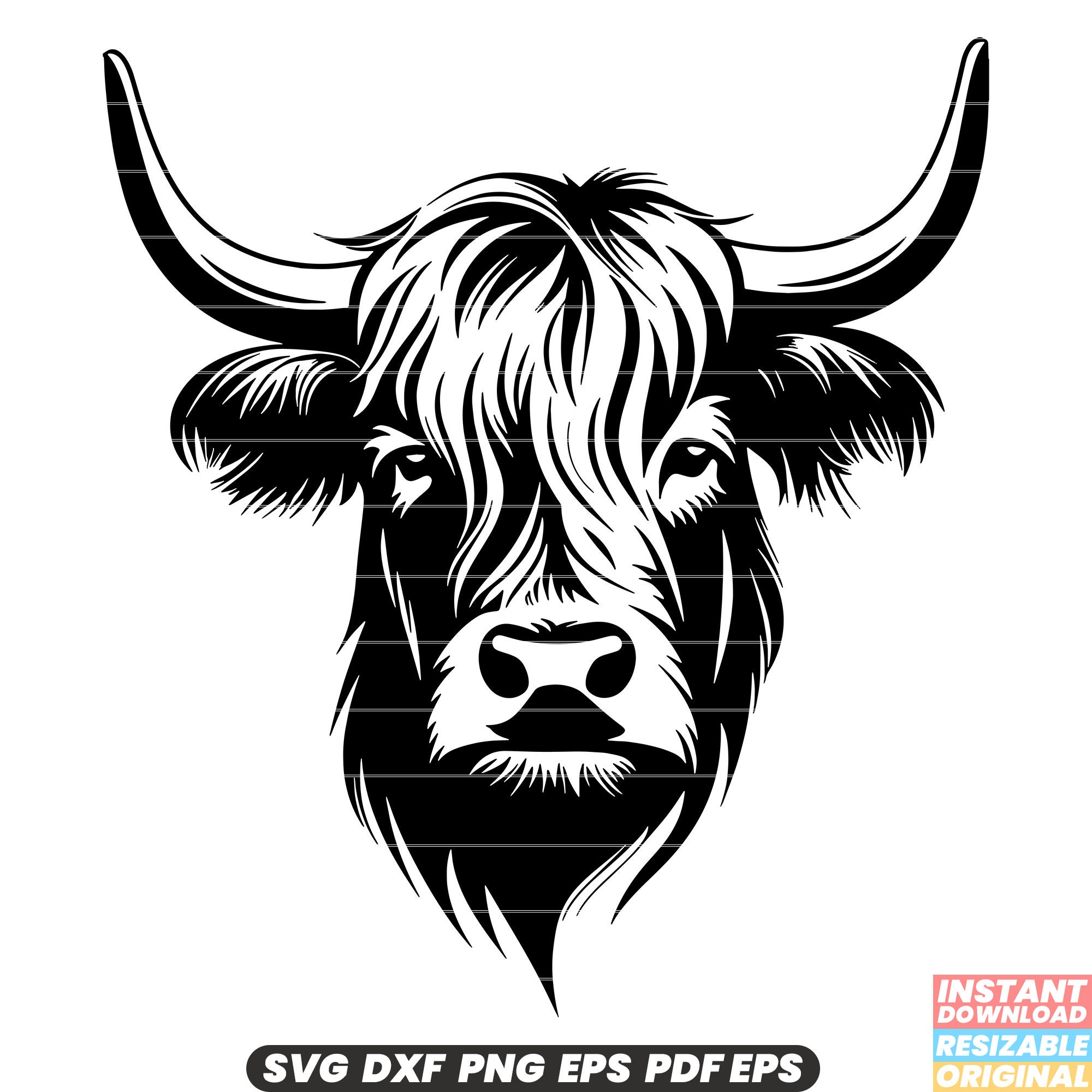 Highland Cow Cattle Livestock Animal Farm Farming Scotland Scottish ...