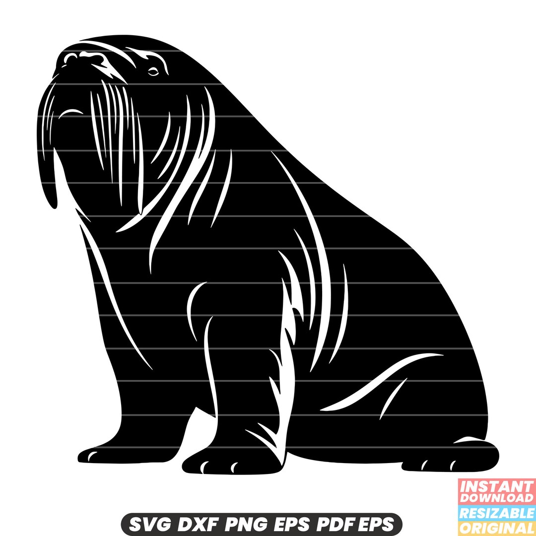 Walrus SVG Marine Mammal Illustration Arctic Animal Clipart Tusked ...