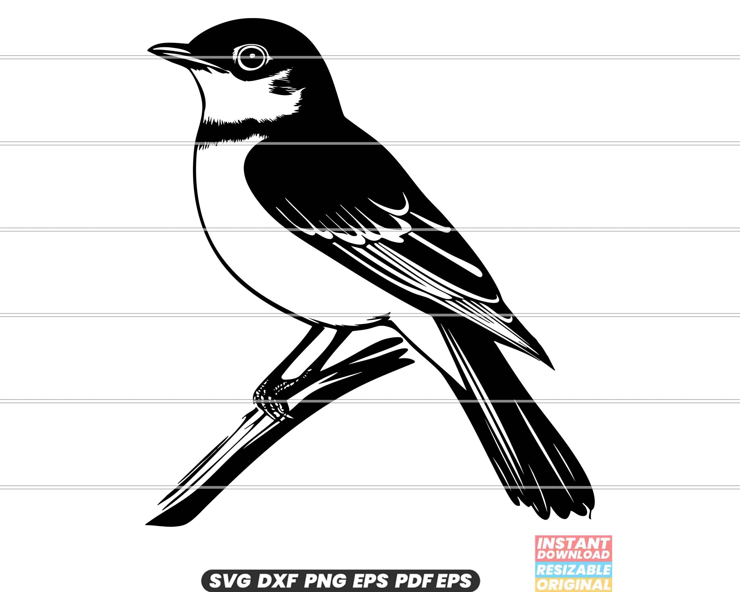 American Robin SVG DXF PNG Cut File Clipart Instant Download Digital ...