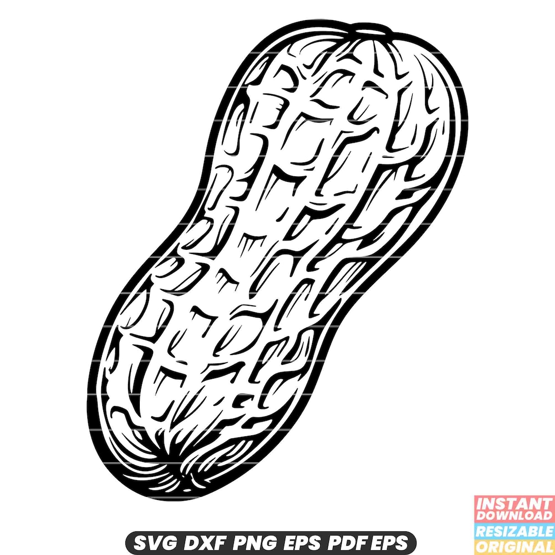 Peanut SVG Nut Food Ingredient Snack Protein Healthy DXF PNG Cut File ...