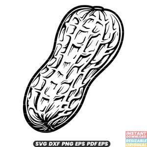 Peanut SVG Nut Food Ingredient Snack Protein Healthy DXF PNG Cut File ...
