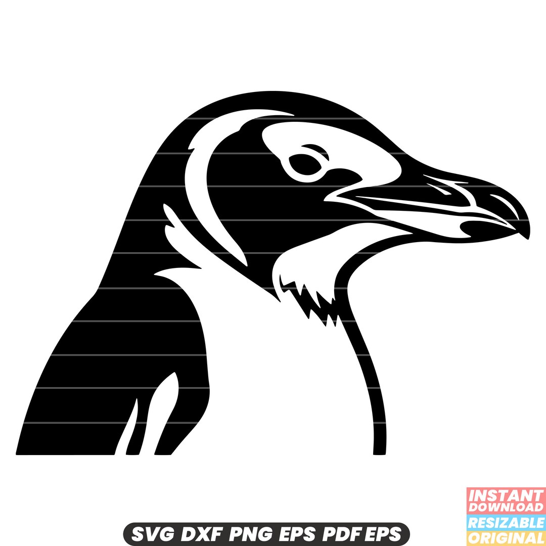 Penguin Bird Wildlife Antarctic Aquatic Flightless Waddle Ocean Iceberg ...