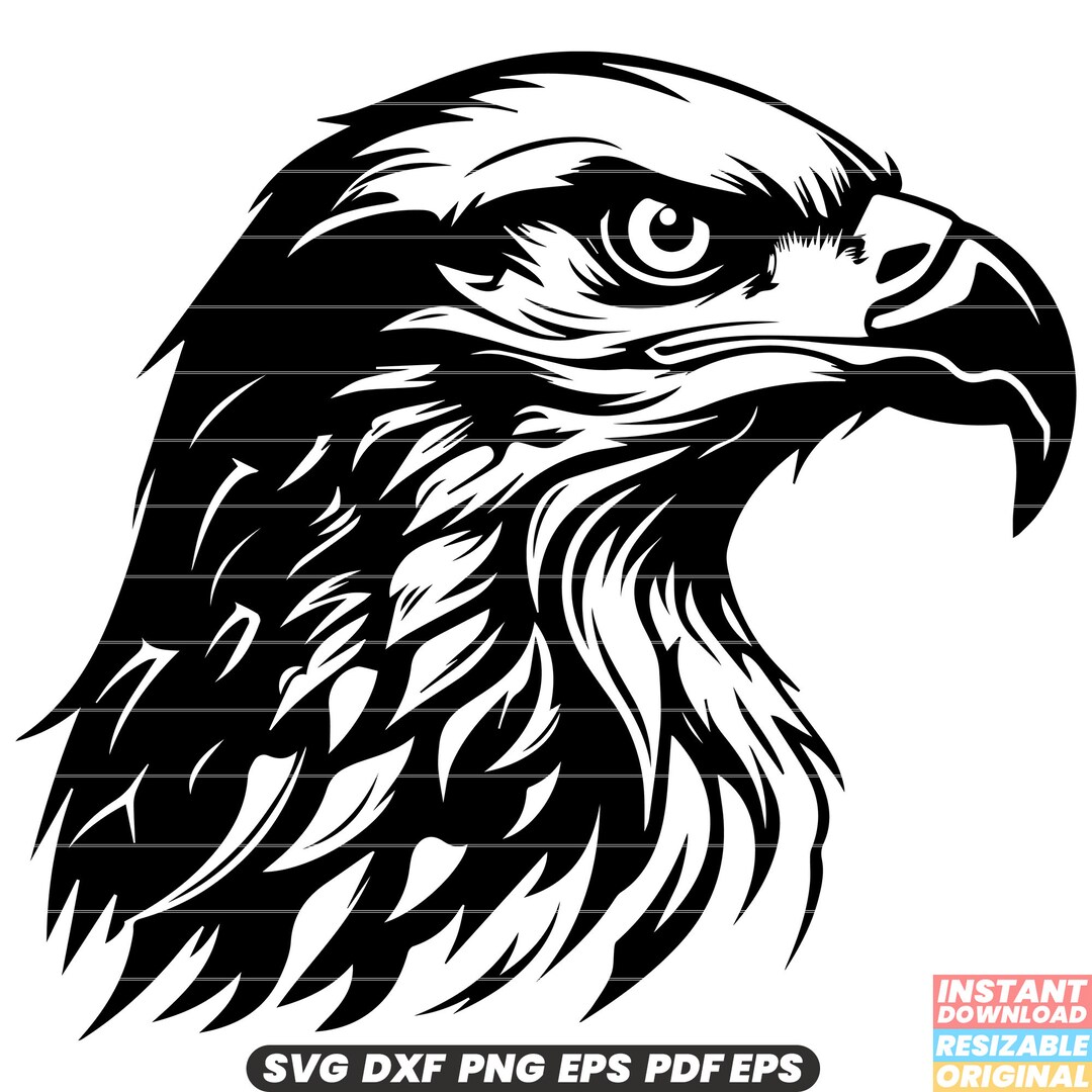 Buzzard Bird of Prey Raptor Wildlife Feathers Predator Hunter Scavenger ...