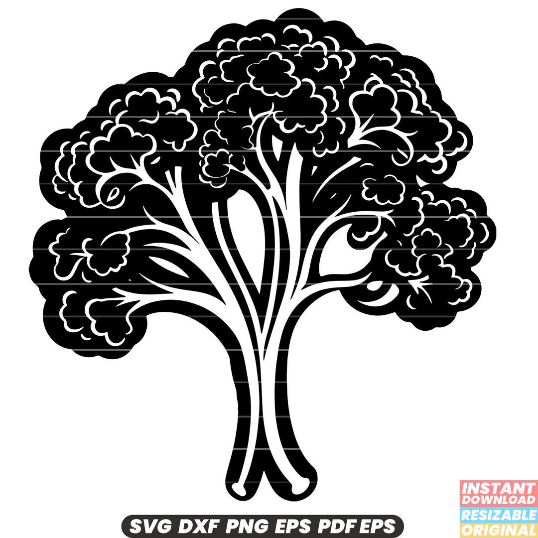 Broccoli SVG DXF PNG Vegetable Cut File Fresh Green - Etsy
