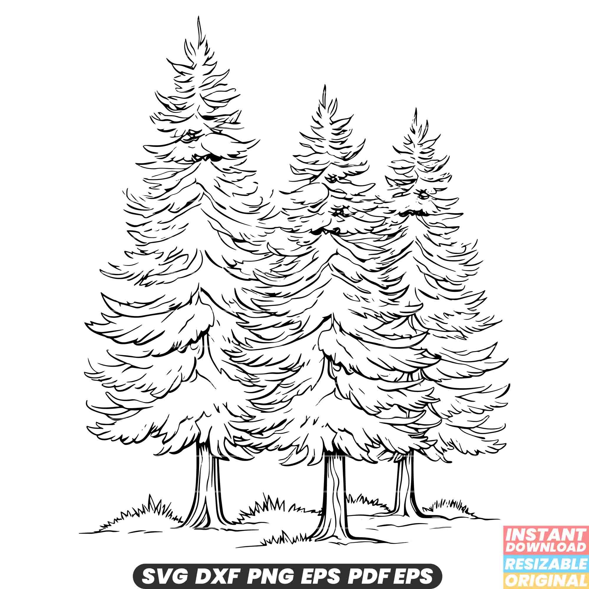 Pine Tree SVG Nature Evergreen Forest Woodland Botanical Greenery ...