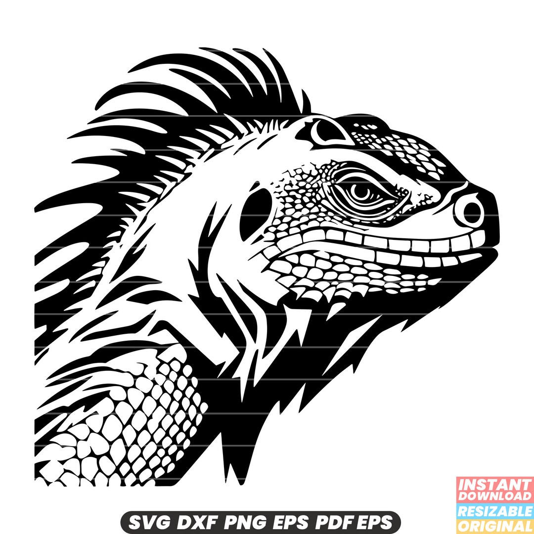 Iguana Reptile Lizard Tropical Wildlife Exotic Pet Amphibian Nature SVG ...