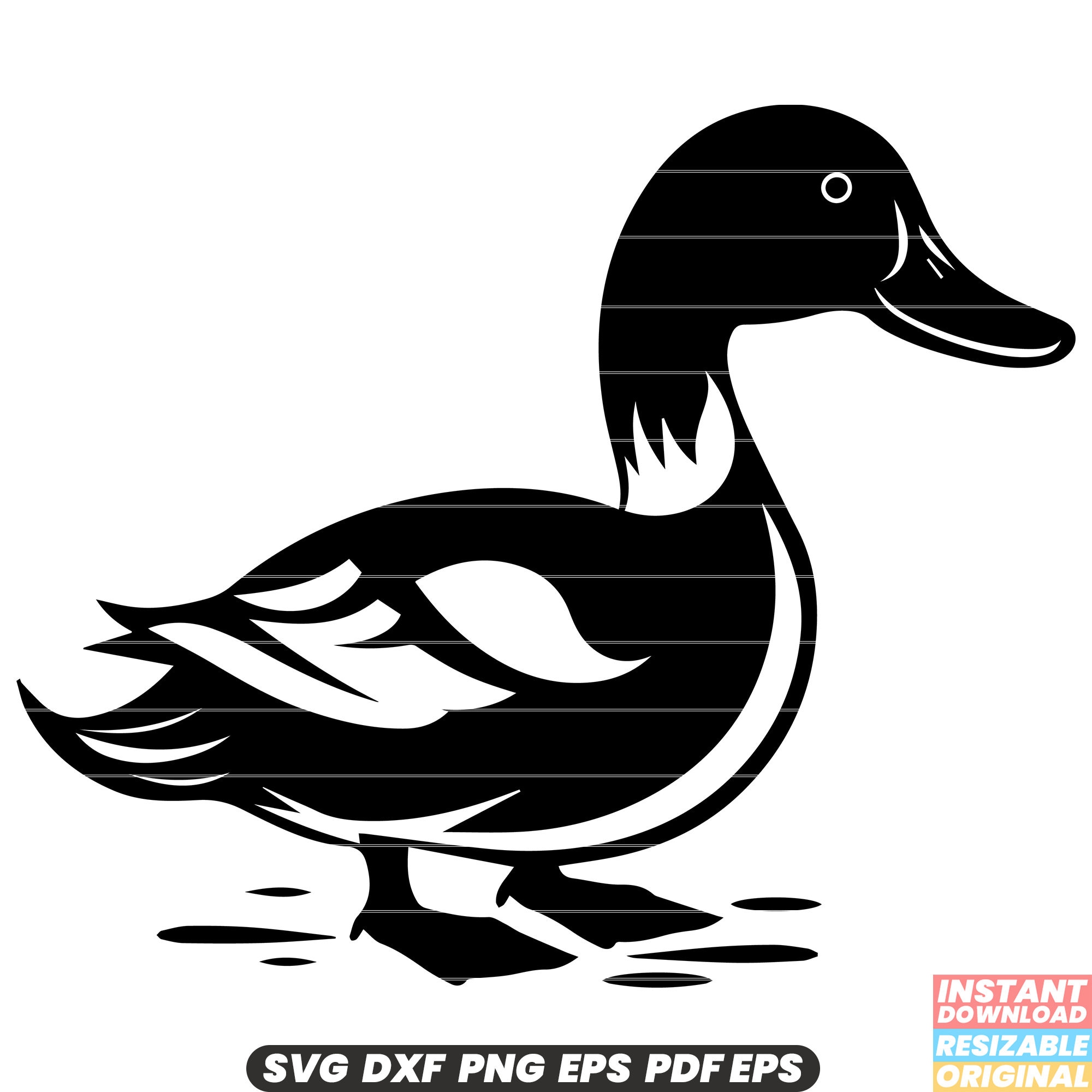 Duck SVG Duck DXF Duck PNG: Quacking Waterfowl Digital Art - Etsy