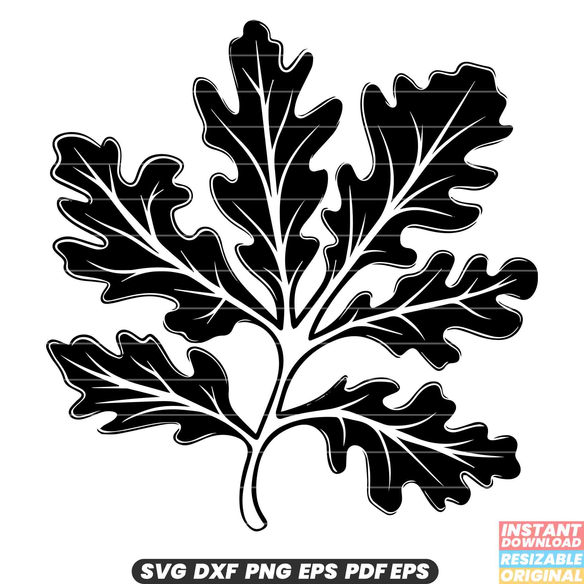 Oak Leaf Svg Tree Nature Botanical Autumn Fall Foliage Acorn Forest Dxf Png Cut File 1 Etsy