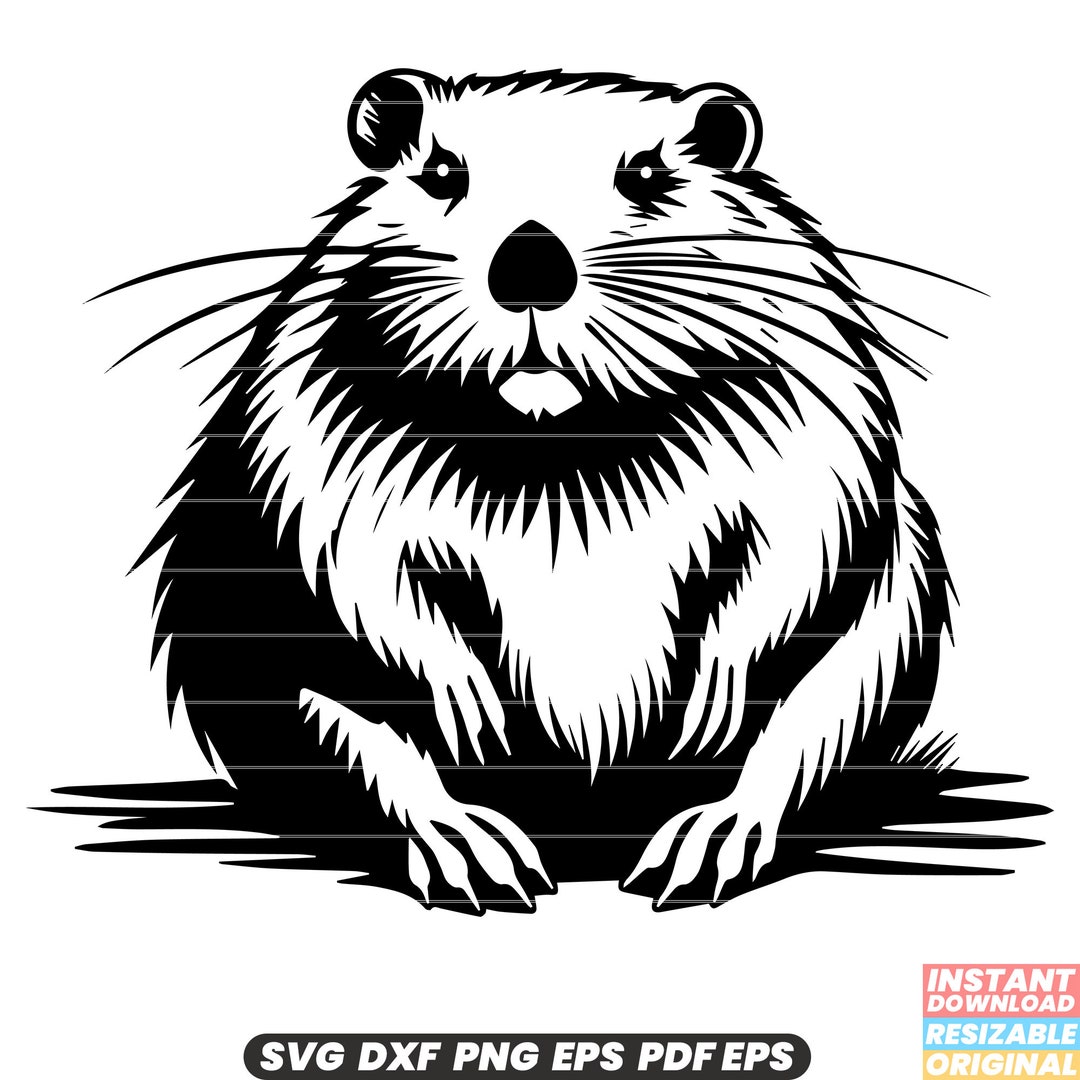 Coypu Rodent Wildlife Nutria Aquatic Herbivore Riverbank Nature ...