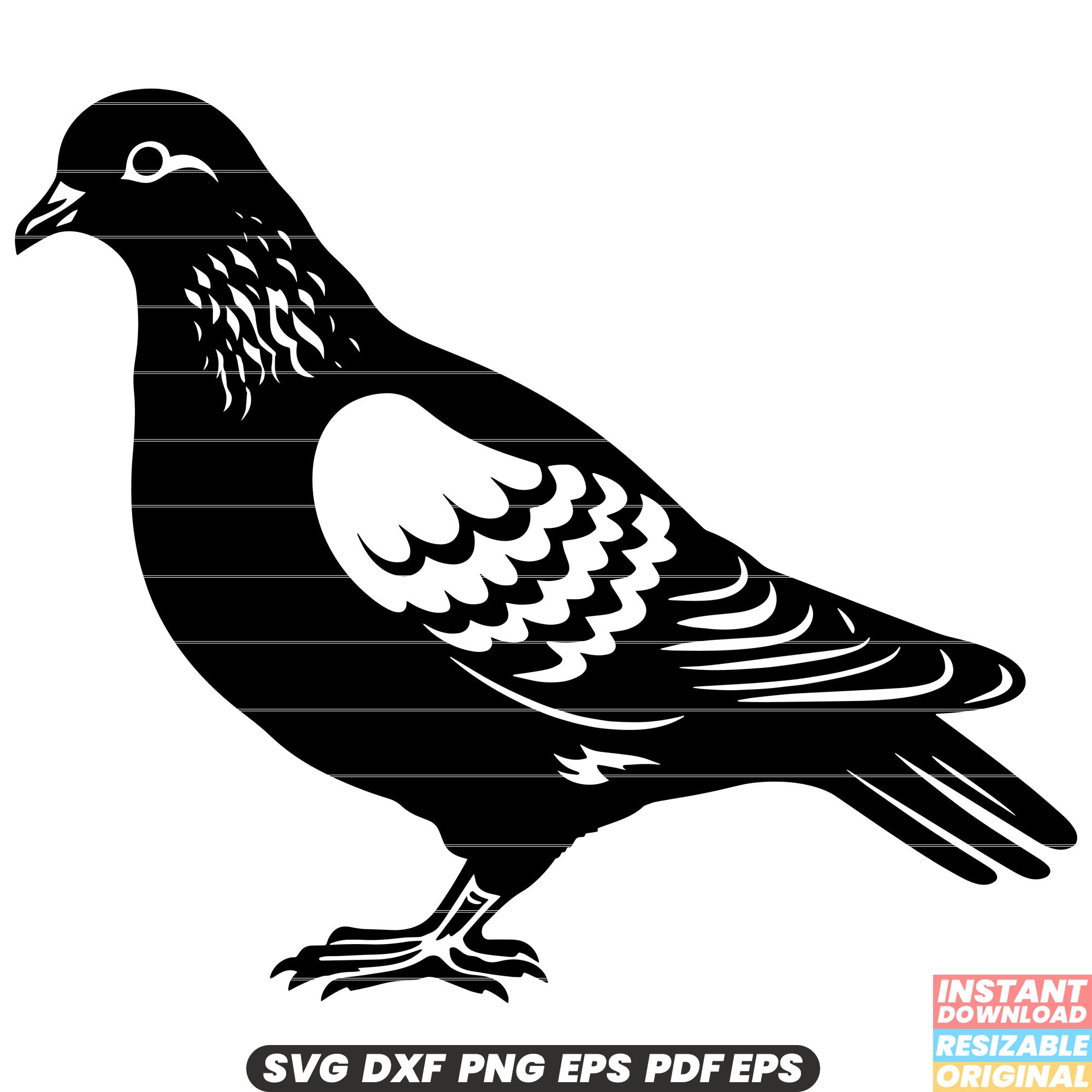 Pigeon Bird Avian Wildlife City Feathered Feral Nature SVG DXF PNG Cut ...